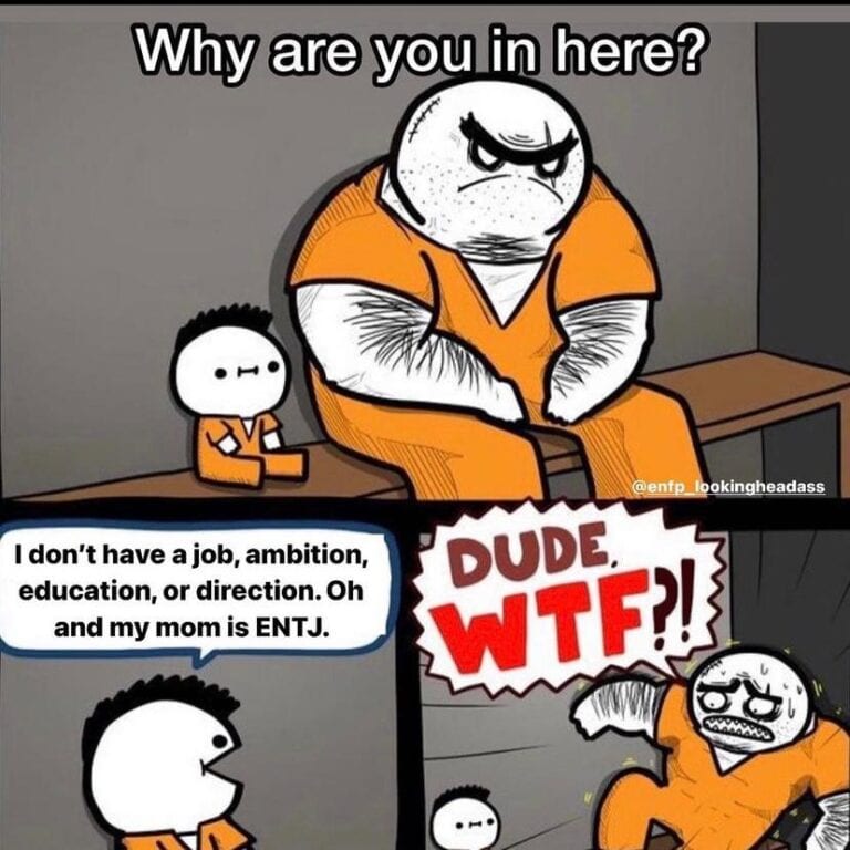 ENTJ memes- 40 Of The Very Best | Personality Hunt