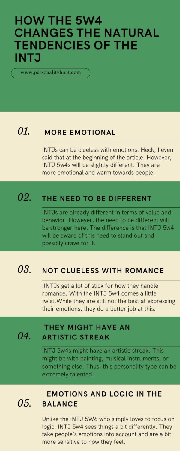 INTJ 5w4 (The Complete Guide) | Personality Hunt
