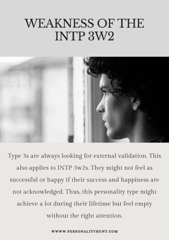 INTP 3w2 (The Complete Guide) | Personality Hunt